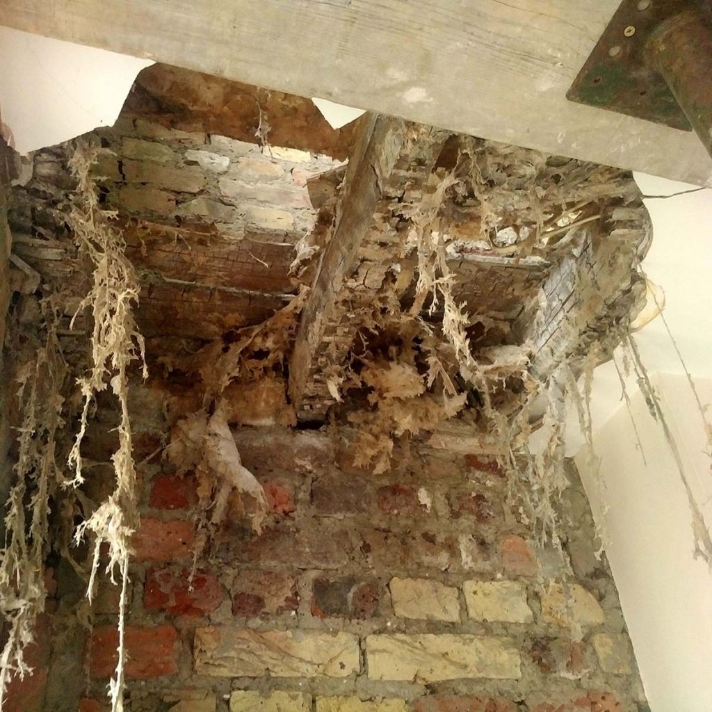 Dry Rot Treatment, Croydon, South London | RLH Developments Limited